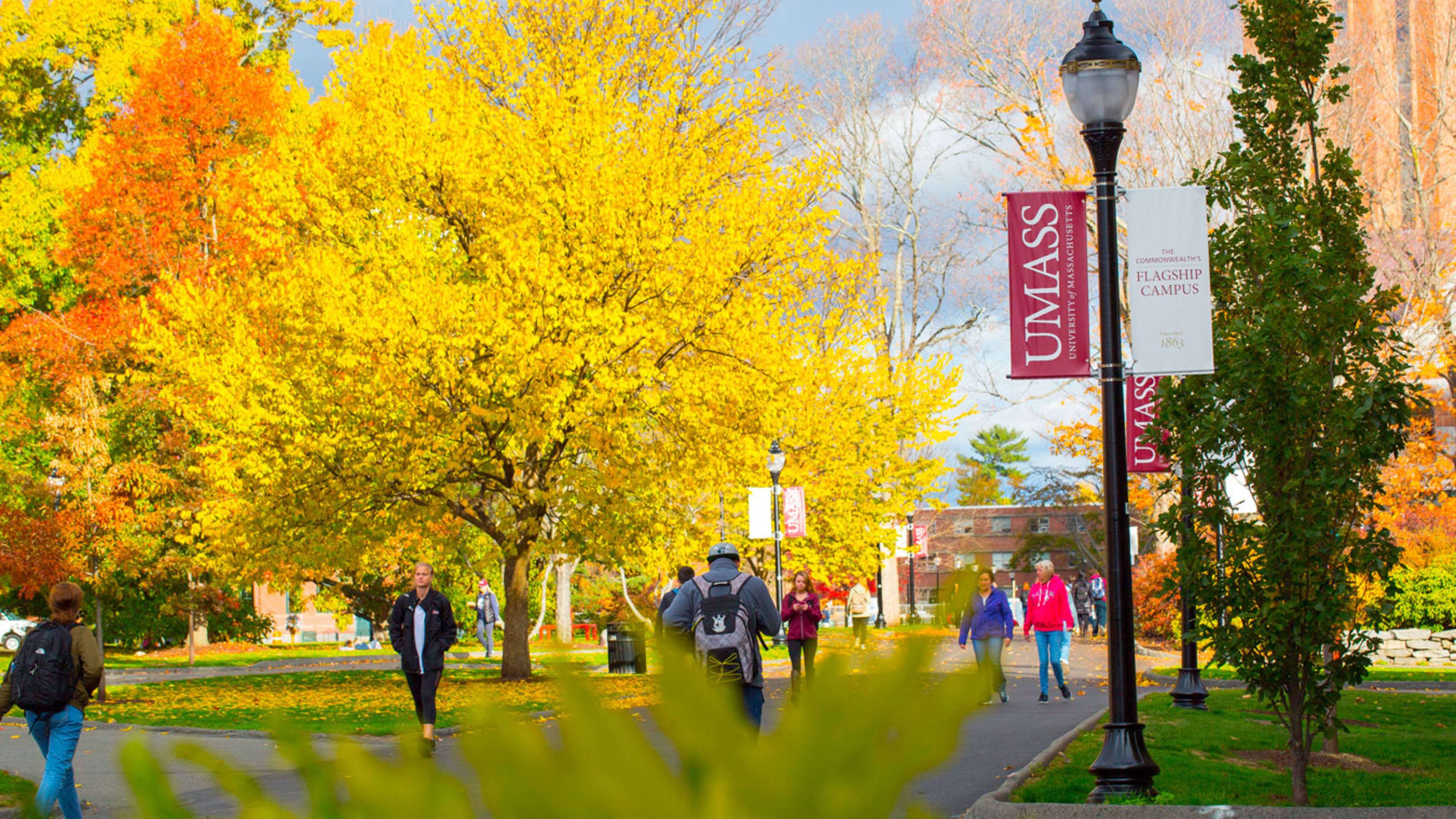 INTO Study University Of Massachusetts Amherst INTO Study University Of Massachusetts Amherst